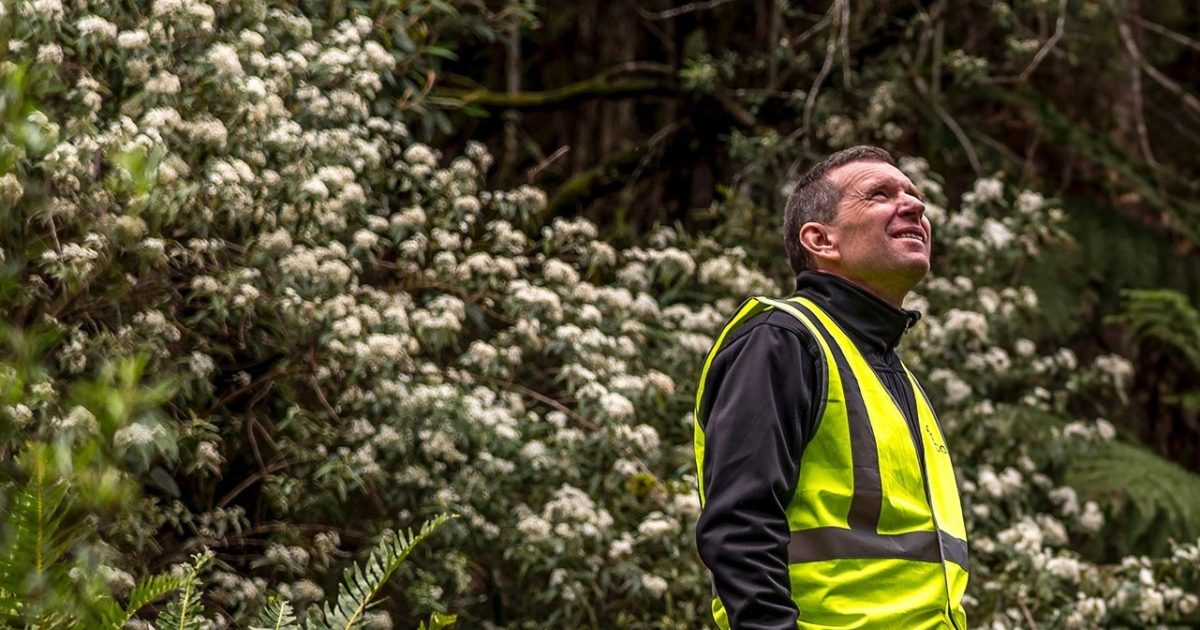 Dedication to sustainable forest management culminates in a Board role ...