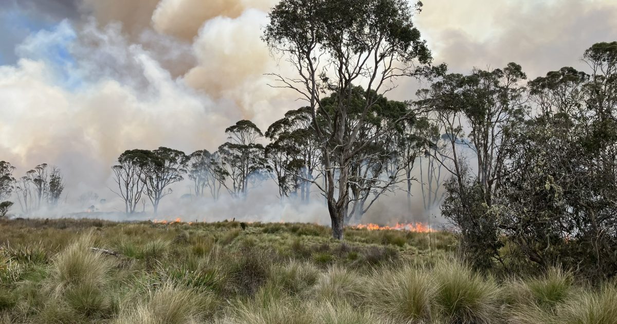 Ecological burning